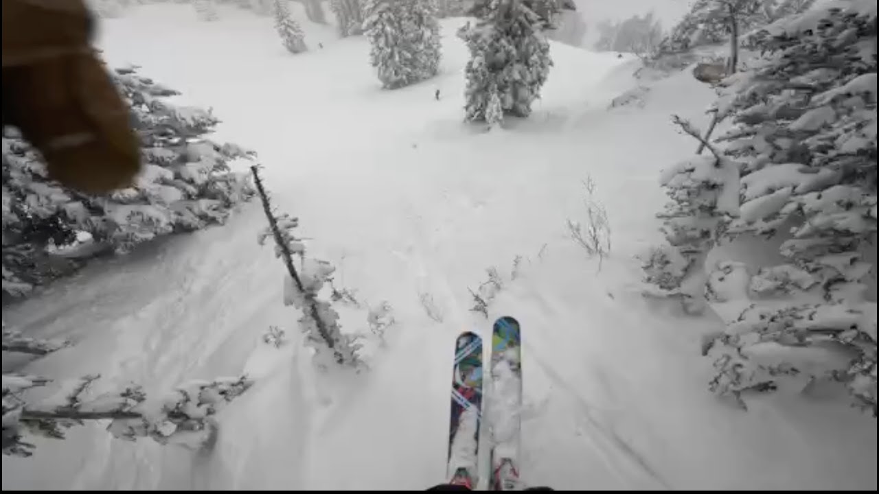Alta Powder Day 2/15/25 - YouTube