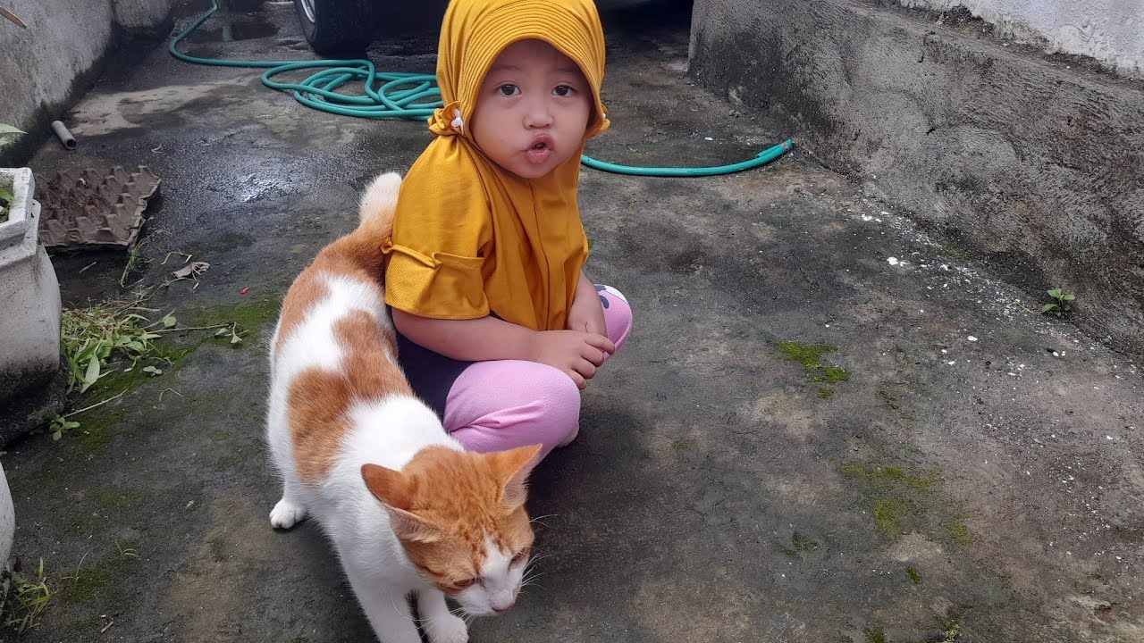 DRAMA HIP MAIN SAMA KUCING LUCU DAN MANJA - YouTube