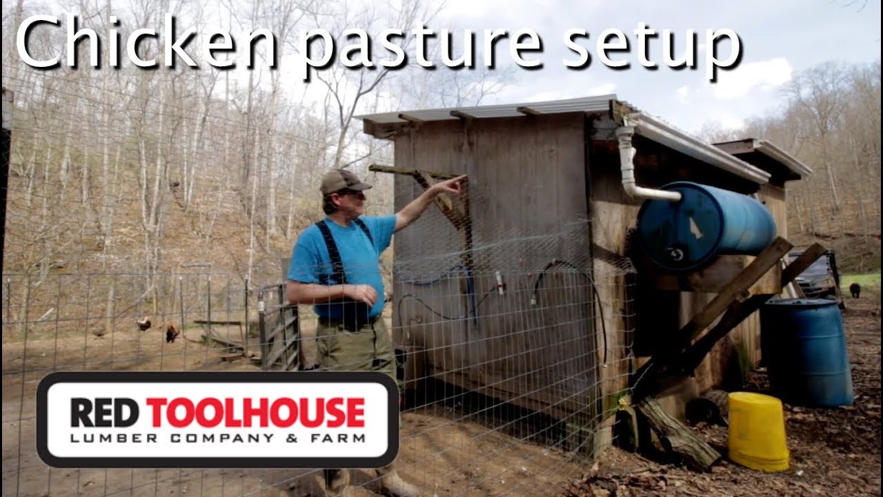 Ep104: Setting up our chicken pastures for spring rotation - YouTube