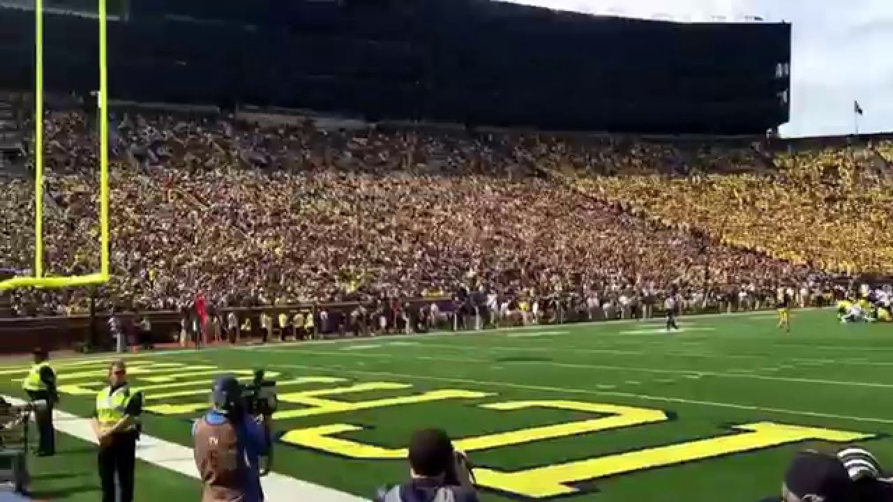 Michigan Wolverines Crowd Wave - YouTube