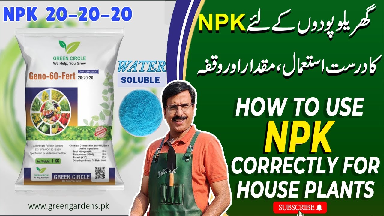 How to use 'NPK" correctly for house plants | Gardening With Javed ...