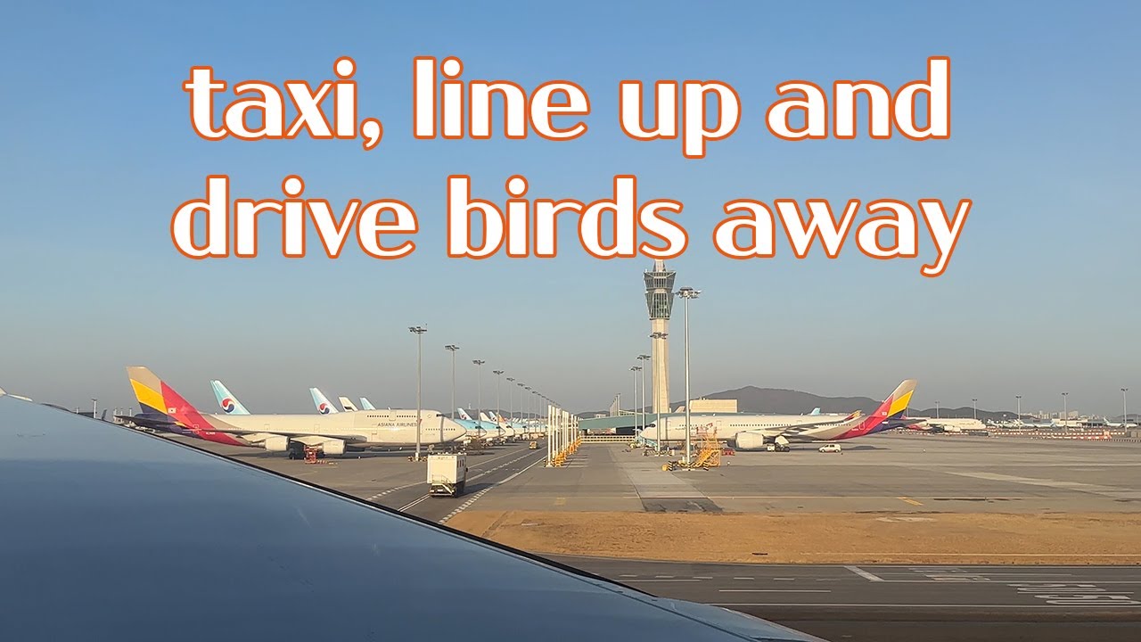 taxi, line up and drive birds away, and takeoff at Incheon airport. #어스 ...