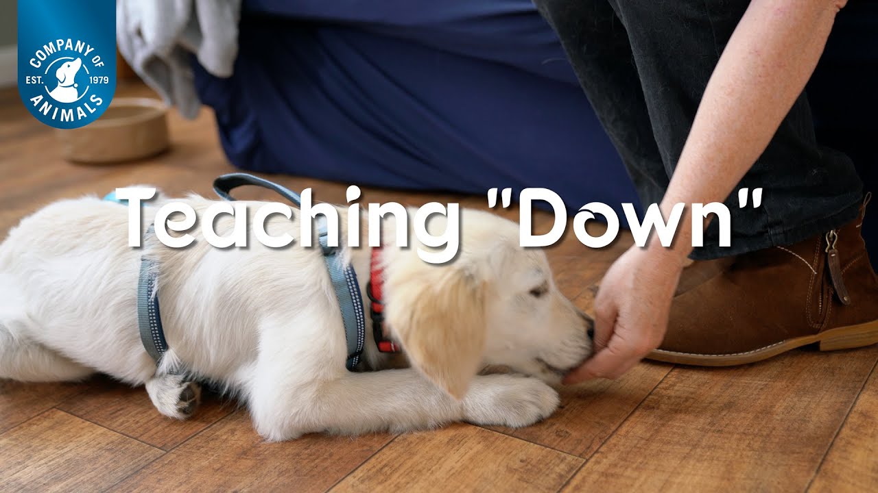 Teaching "Down" - YouTube
