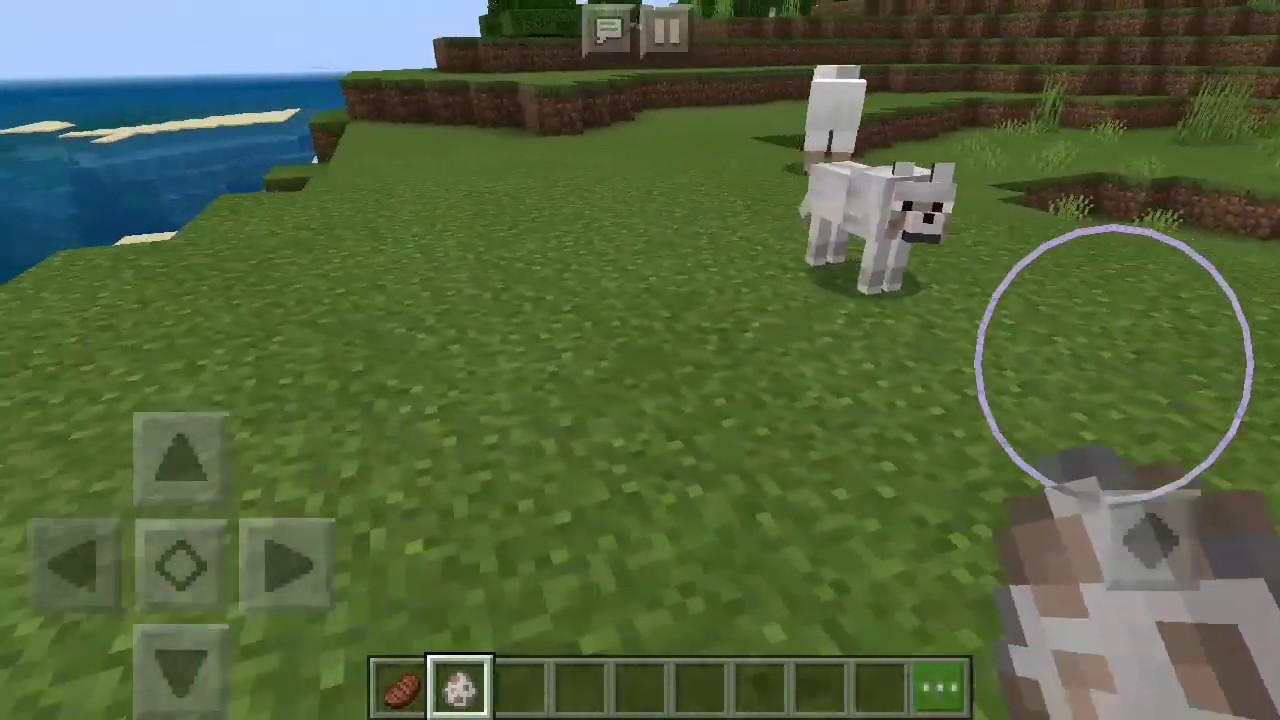 Displaying what happens to your dog when u die in minecraft hardcore ...