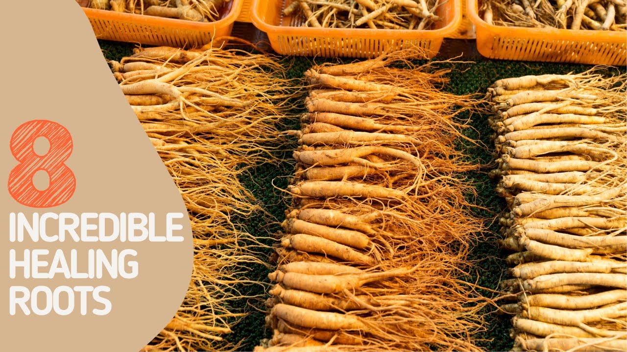 The Power of Nature: Exploring 8 Healing Roots and Their Benefits - YouTube