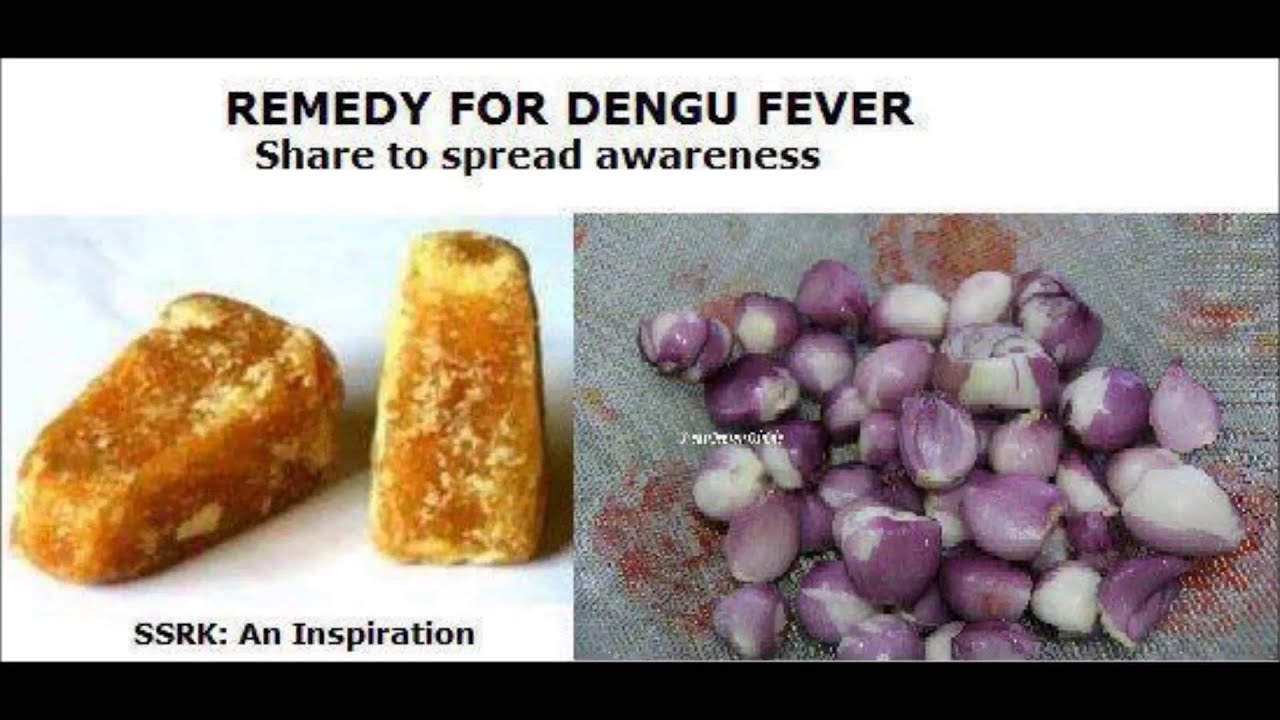 CURE FOR DENGU FEVER - YouTube