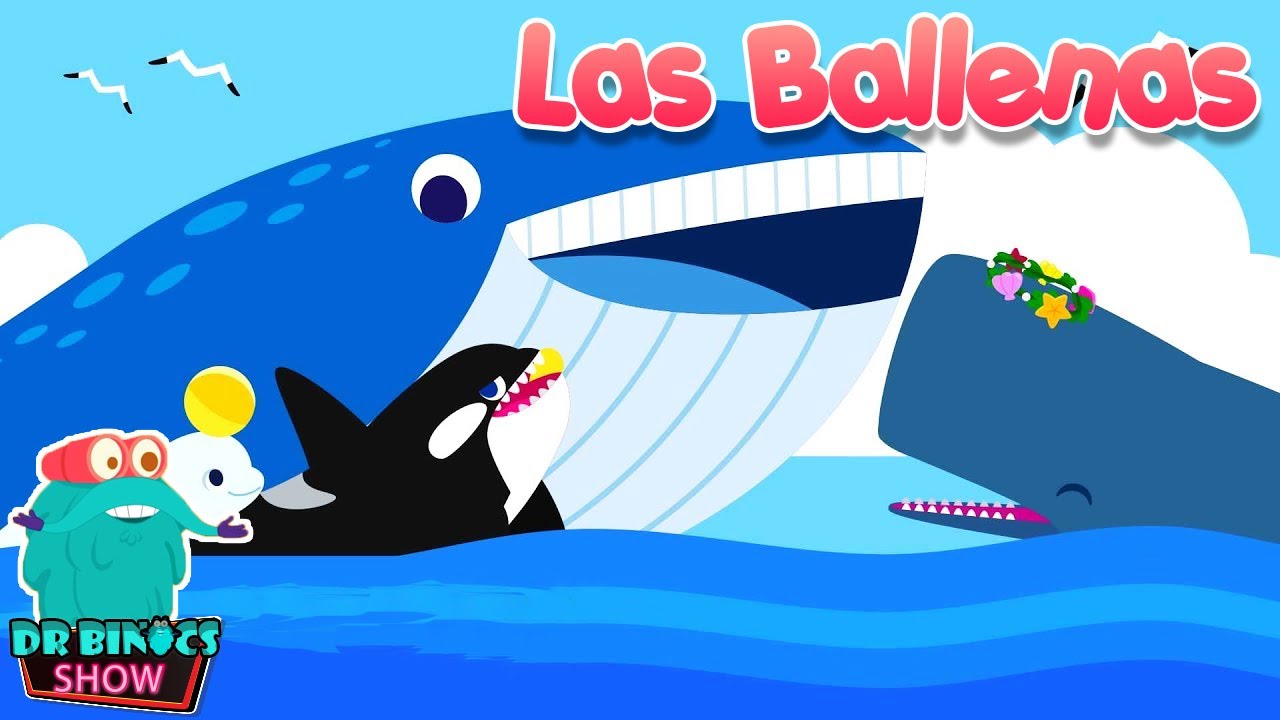 Las Ballenas | Una de esas criaturas gigantes que crees que realmente ...