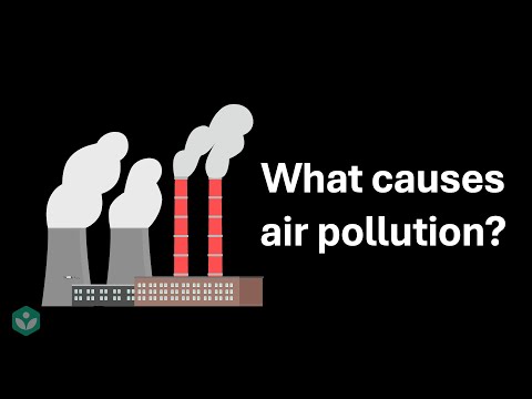 Air Pollution | Pollution | Maharashtra Grade-8 Science | Khan Academy