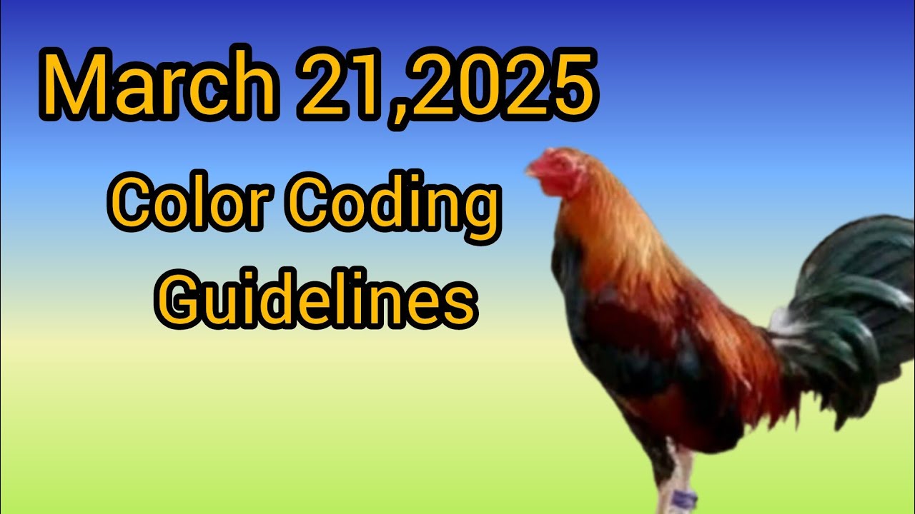March 21,2025 Color Coding Guidelines. - YouTube