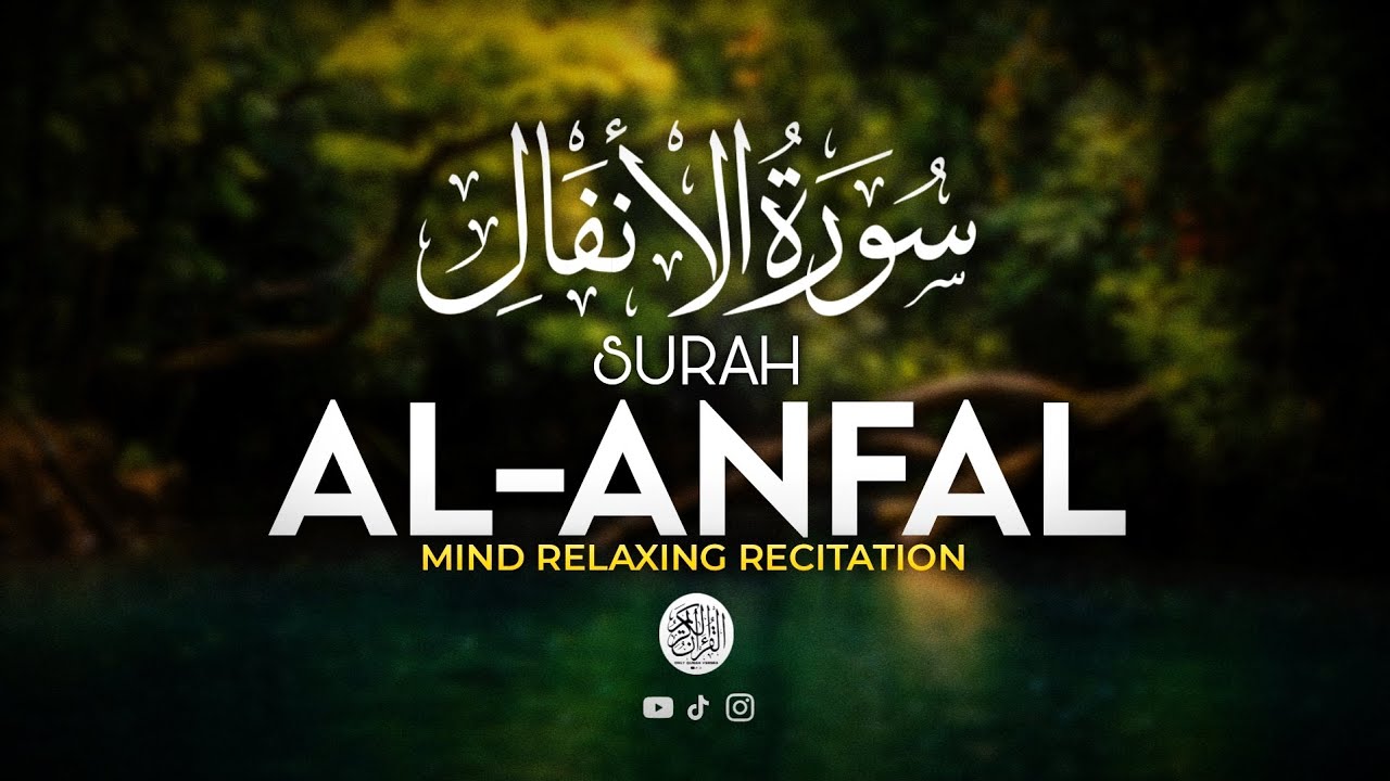 Surah Al Anfal Mind Relaxing Recitation Beautiful Recitation by ...