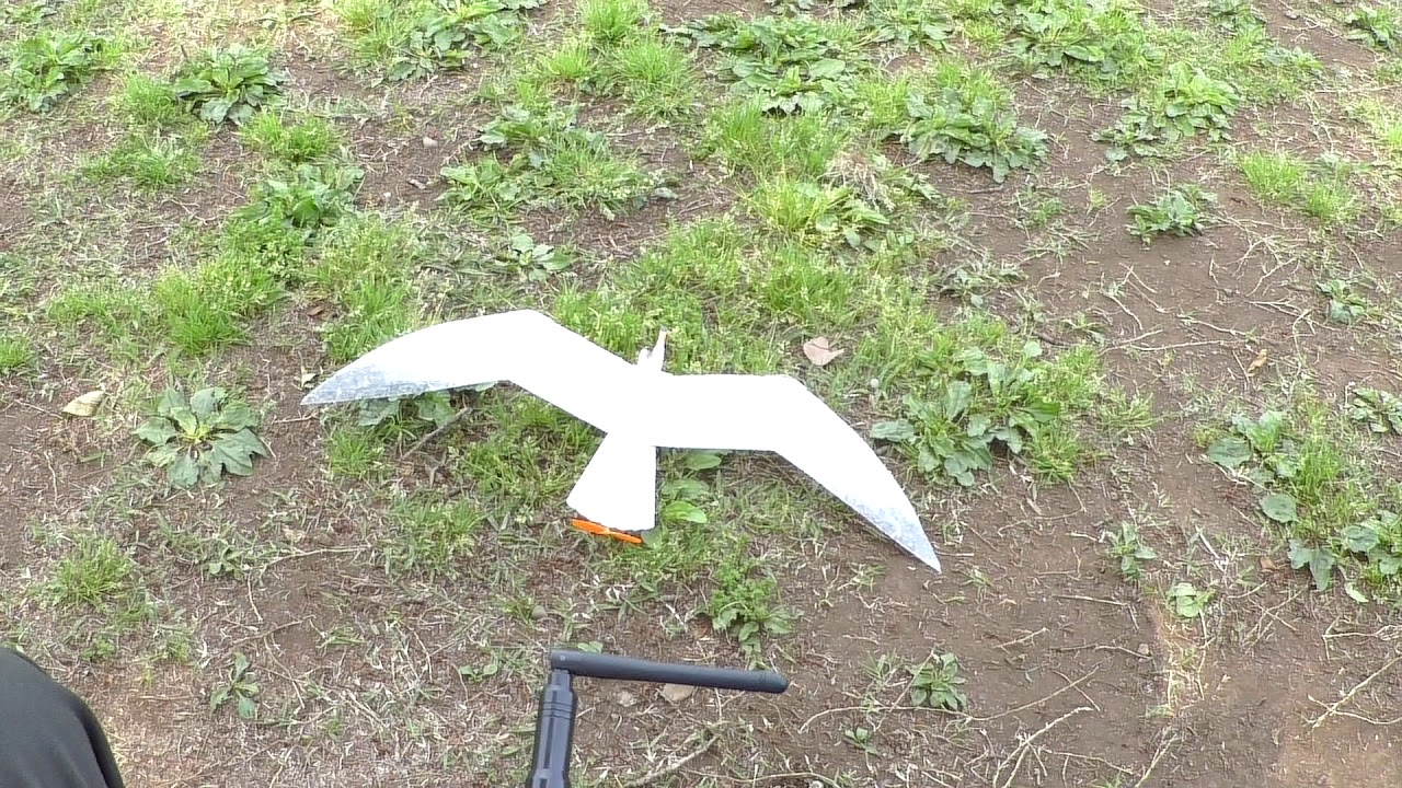 RC micro seagull pusher motor glider without vertical stabilizer maiden ...