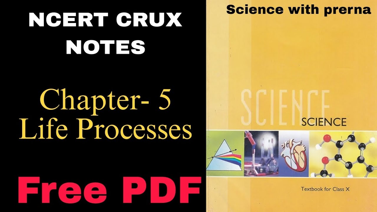 Life Processes Full Chapter Notes with free pdf || Class-10th Science ...
