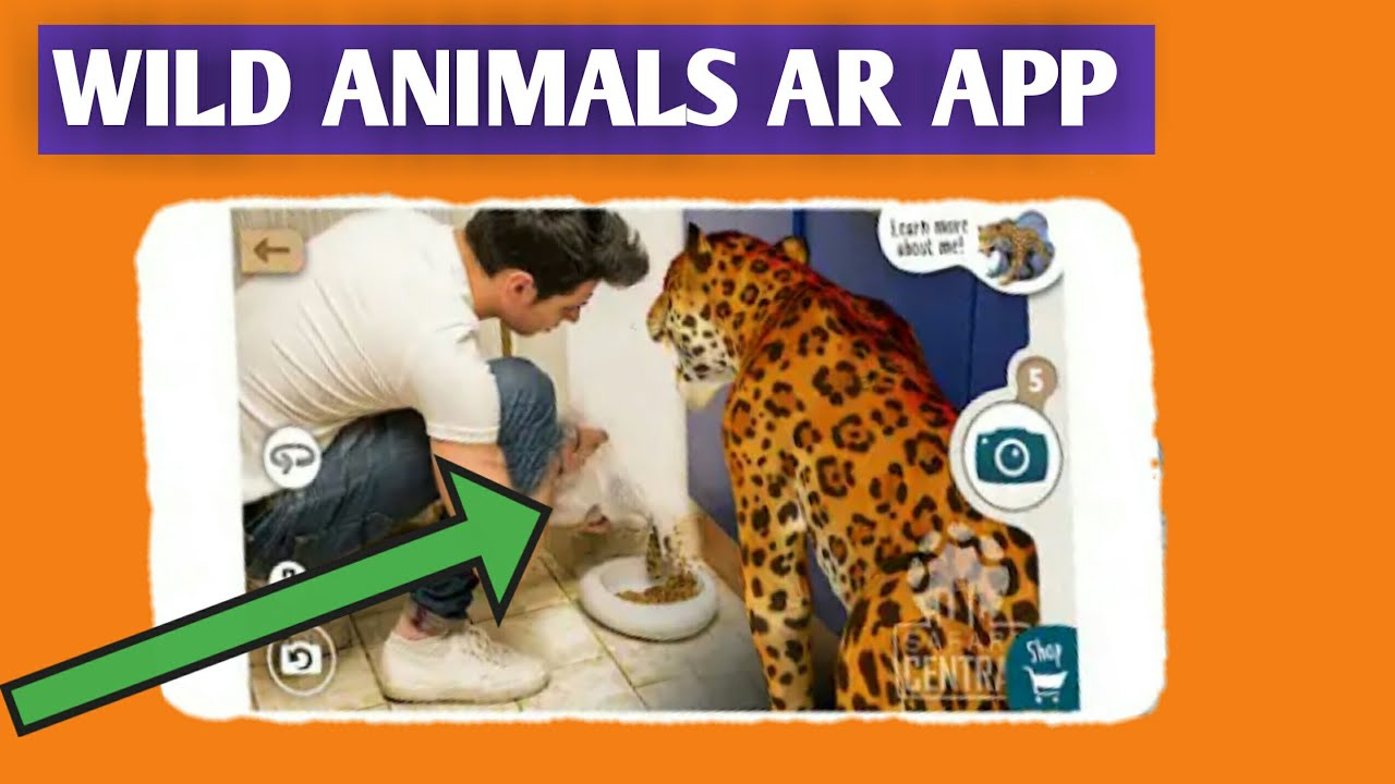 Safari central wild animals 🐘🐫🐆AR App - YouTube
