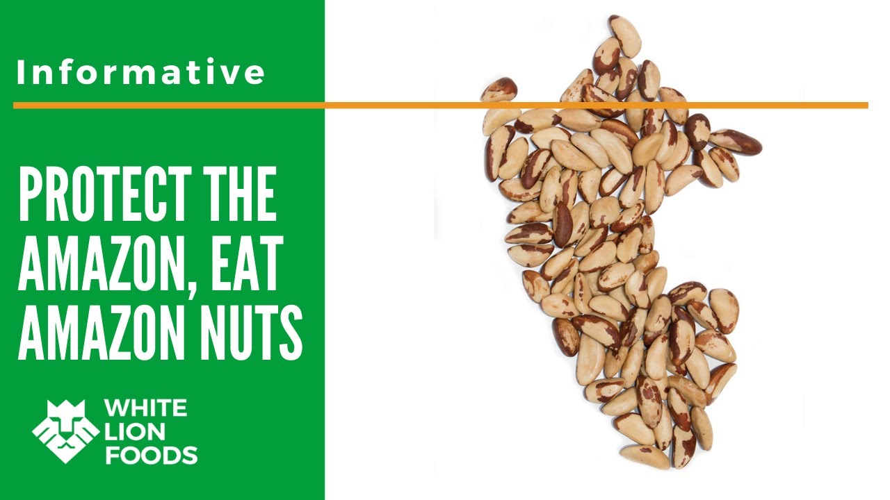 PROTECT THE AMAZON, EAT AMAZON NUTS - YouTube