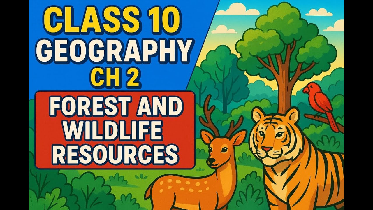 GEOGRAPHY | 🌳 Forest & Wildlife Resources 🌳 | Explanation in short | pdf notes | class 10 sst ...