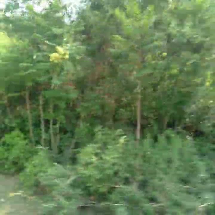 Gareen valley village life style # - YouTube