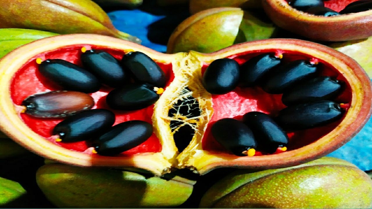 কাঠবাদাম | Healthy & Tasty Food Almond | Baksho Badam | Fruit Nut ...