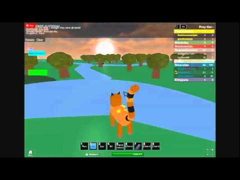 Roblox Warrior Cats - MapleLeaf's Story - Pt 1 - YouTube