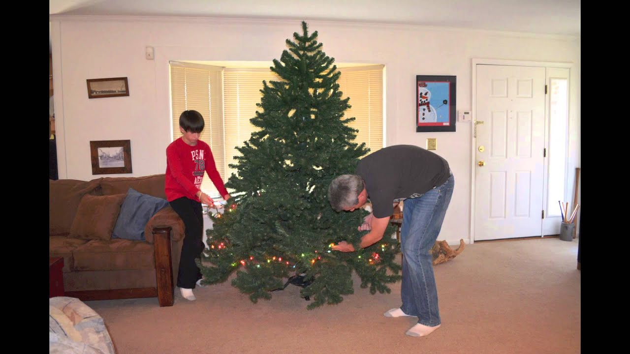 Dad and I put up the Tree! - YouTube