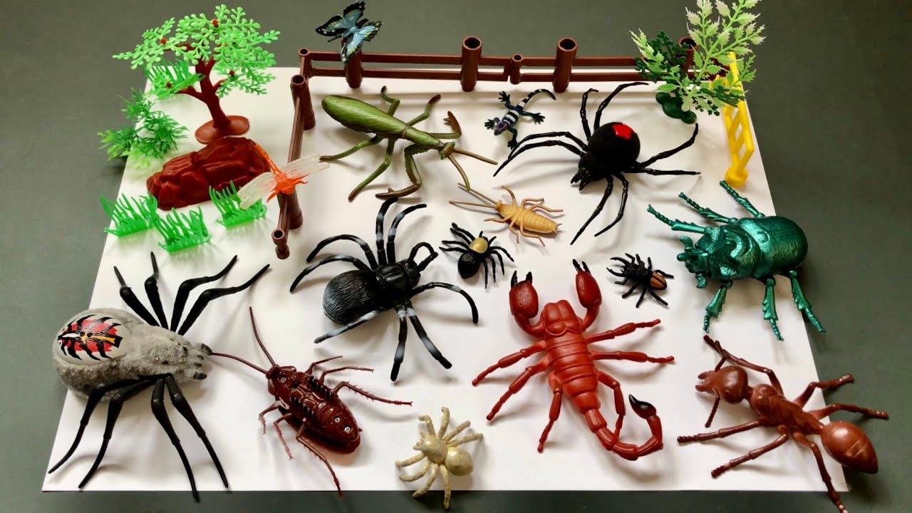 Zuru Robo Alive Spider and Cockroach in Animal Toy Farm - YouTube