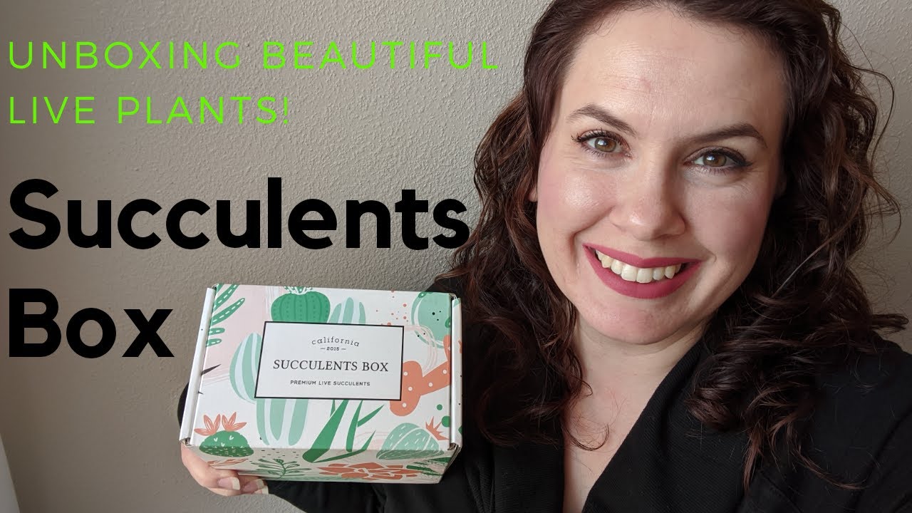 Succulents Box Unboxing | Beautiful Live Plants - YouTube