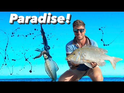 Squid and Spango Mission! - YouTube