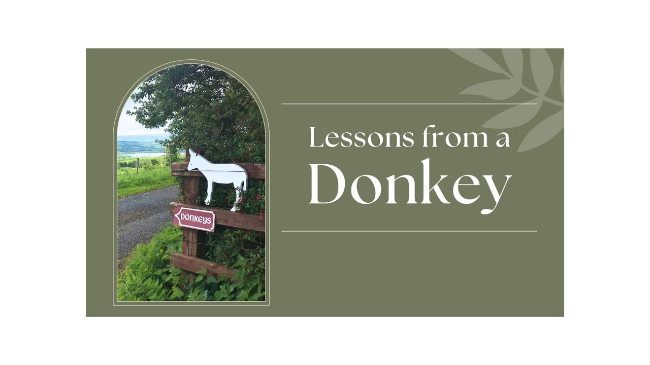 Lessons from a Donkey (ASL) // Brian Casey // Apr 28 - YouTube