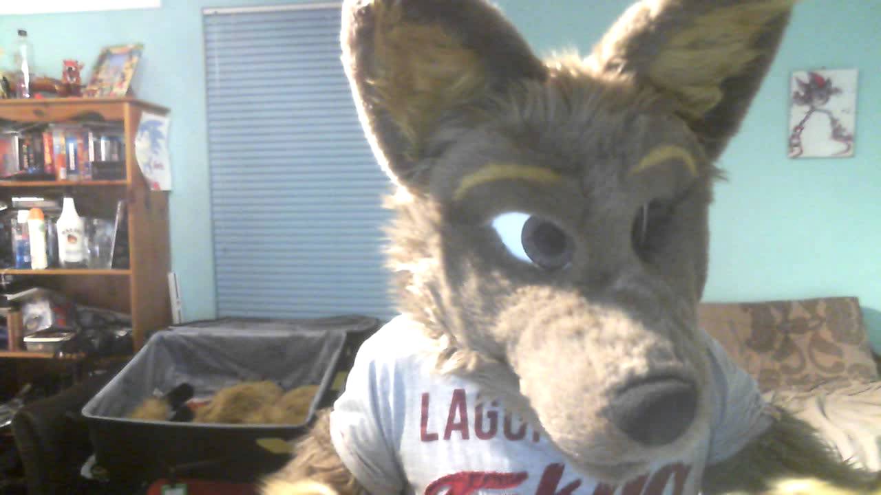 Rocko Fox Balcony fall and the Fandom - YouTube