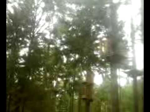 JPOC- GO APE- Wyre forest- Rob on Tarzan Swing - YouTube