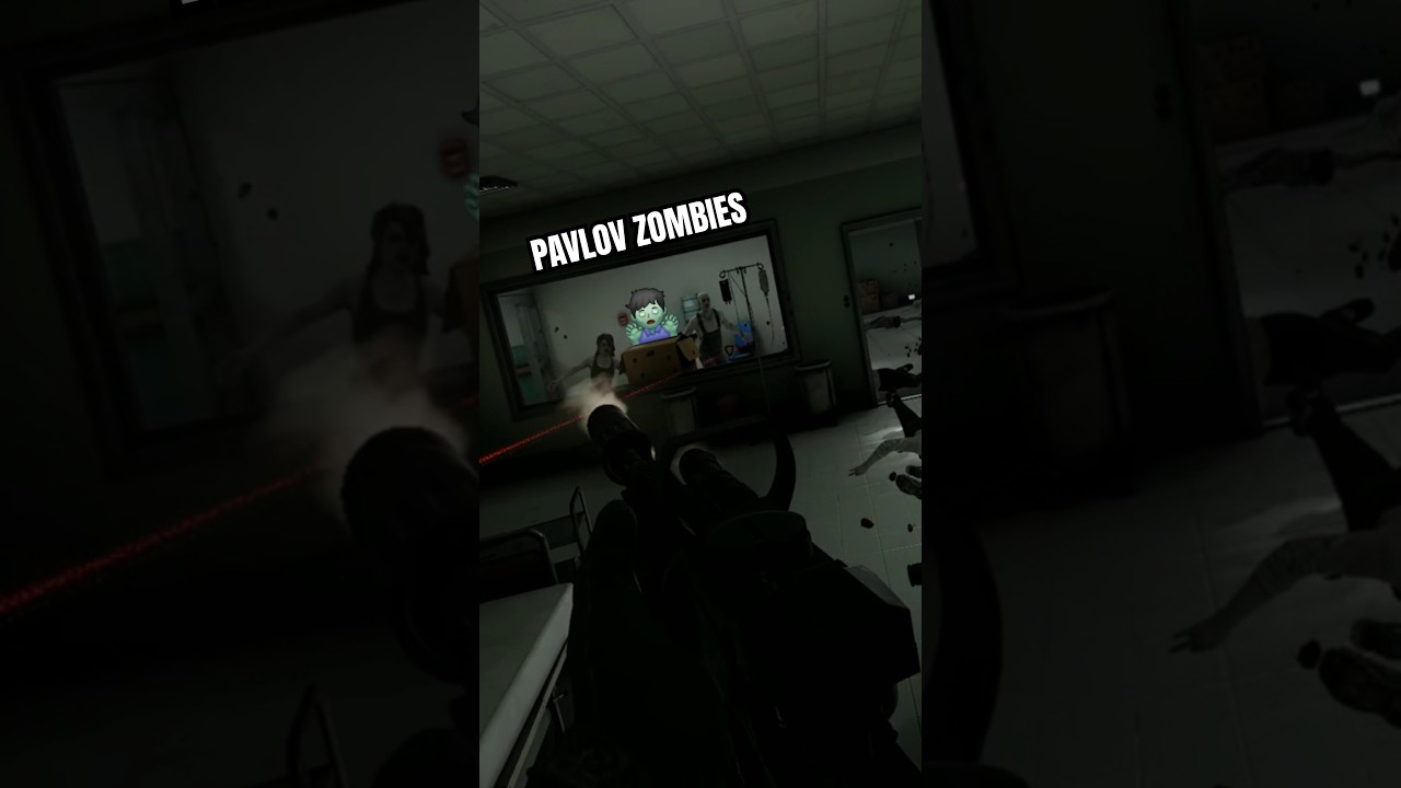 VR zombies on Pavlov PSVR2 #growth #warzone #bo6 #vr #dayz #tacobell # ...