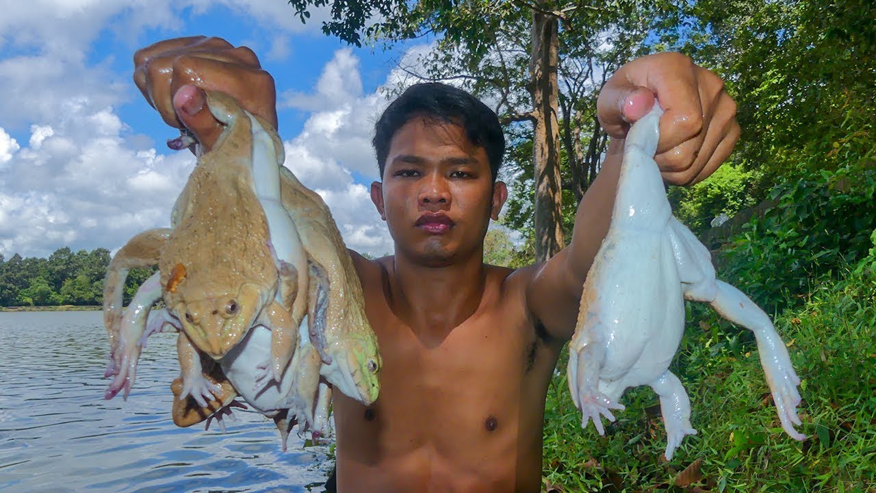 Cooking Yummy Frogs Sour Soup Eating Delicious in Forest - YouTube
