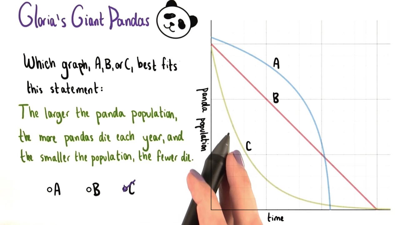 Graphing Endangered Pandas - College Algebra - YouTube