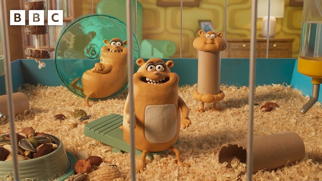 These hamsters love Casualty, sport... and ALL the dramas 😱 | Things We ...