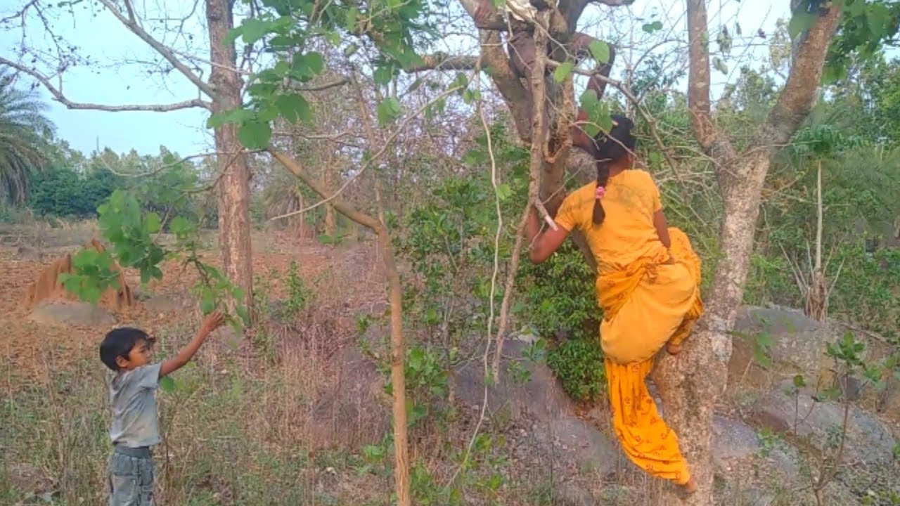 Barada saga kemiti tulibe /barada saga recipe /kulari saga recipe/Soura ...