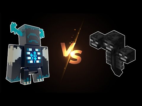 WARDEN VS WITHER FIGHT - YouTube