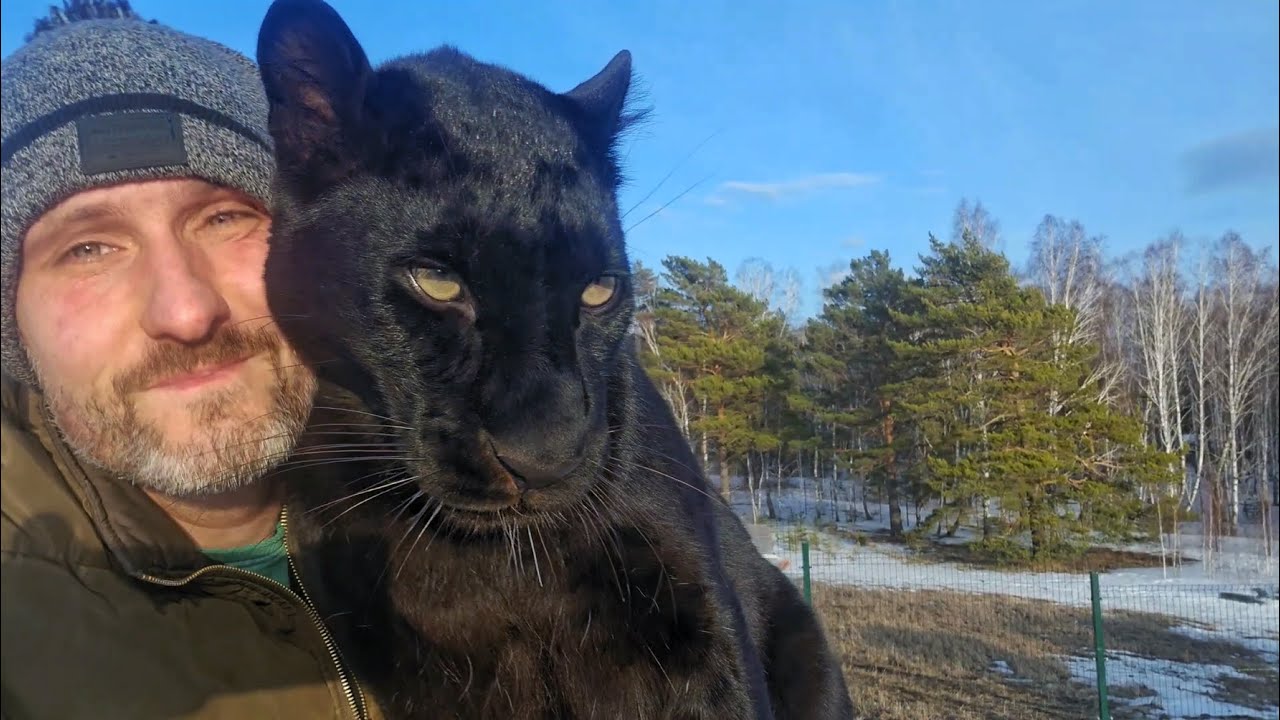 Entertaining Luna the panther with the neighbors😸(ENG SUB) - YouTube