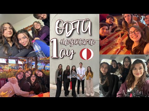 odtü hazırlıkta 1 ay || kasım ayı vlog