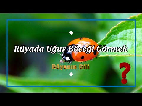 RÜYADA UĞUR BÖCEĞİ GÖRMEK (rüya tabiri)