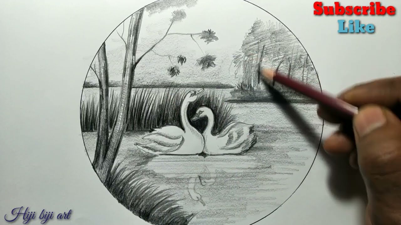 Swan pair scenery drawing in a circle / swan pair scenery drawing with ...