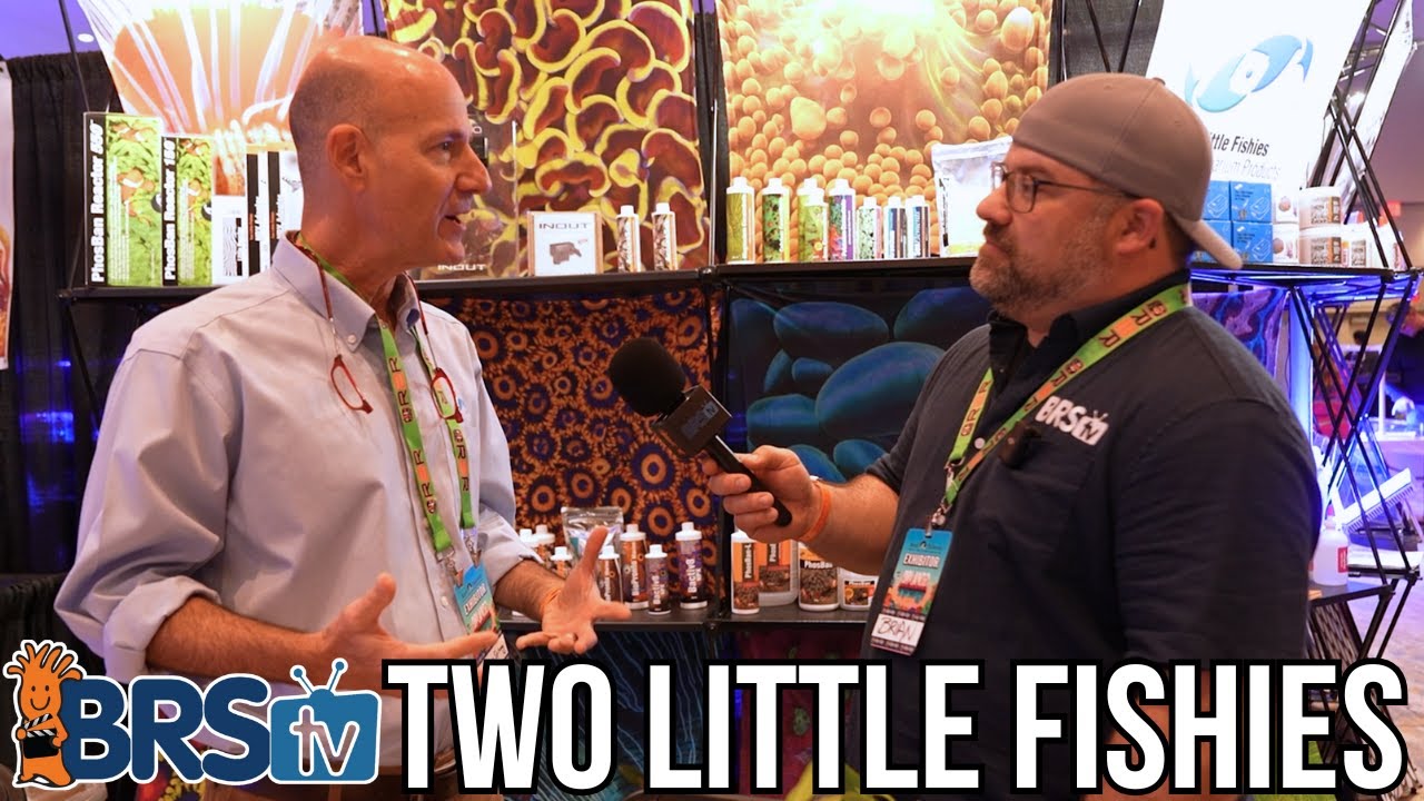 Julian Sprung Talks MetaSorb, WormBitz, and More! - YouTube