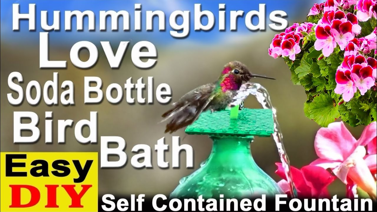 Hummingbird FOUNTAIN Attracts Hummingbirds How To Make Birdbath for ...