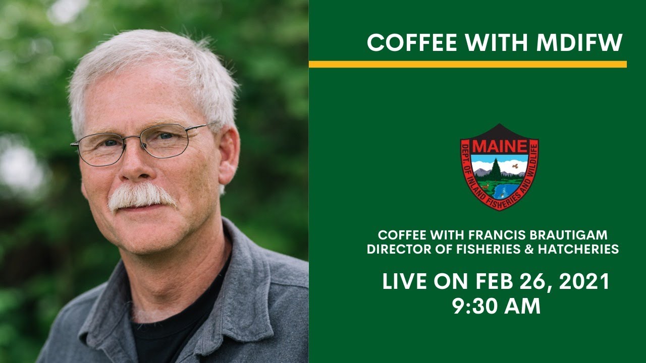 Coffee with MDIFW: Director of Fisheries + Hatcheries - YouTube