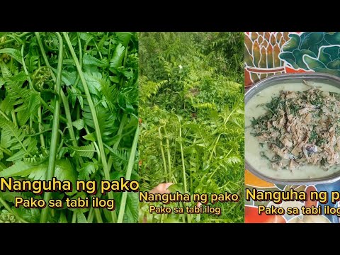 Pako sa tabing ilog - YouTube