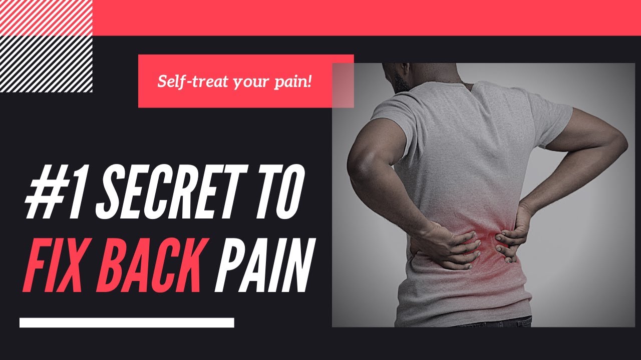 Back pain solution! Best exercises to prevent low back pain - YouTube