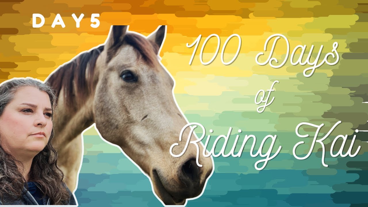 What Happened to Kai? Training a Therapy Horse After a Long Break- Day ...