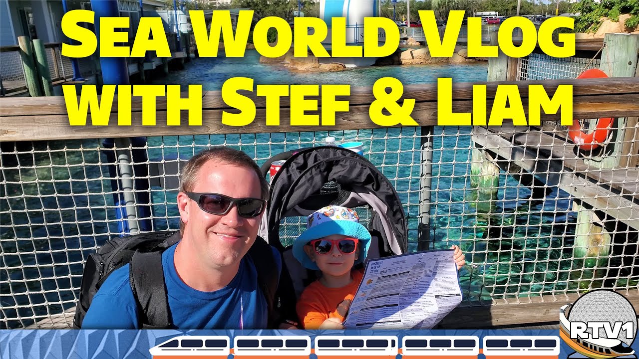 A Day at Sea World with Stef and Liam | Sea World Vlog 2020 - YouTube