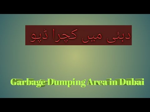 Dubai is so clean how it is ? - YouTube