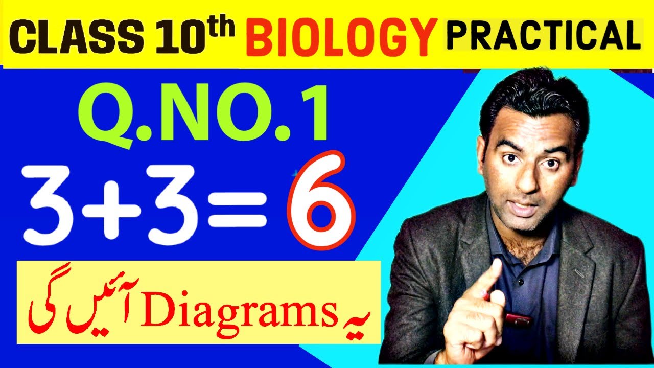 10th bio practical guess paper 2025|10th biology practical 2025 ...