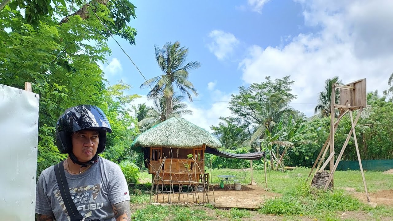 Harvest tayo - Organic Egg at Senyorita na Saging - YouTube