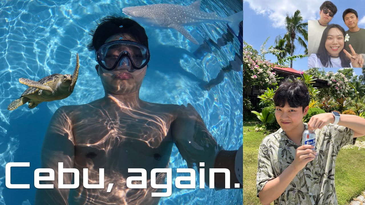 살색주의🫣 세부 한 번 더 다녀왔습니다🇵🇭ㅣ오슬롭ㅣ고래상어ㅣ모알보알ㅣ정어리떼ㅣ바다거북이ㅣ스노쿨링ㅣ페스카도르섬ㅣ투말록 폭포ㅣ화이트샌즈 리조트ㅣ레드크랩ㅣ카바나ㅣ졸리비ㅣ빅맥